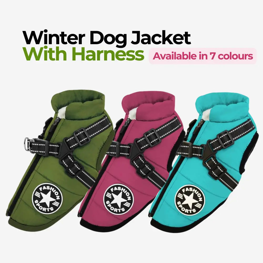 Waterproof Winter Jacket with Harness – DoggoFinds